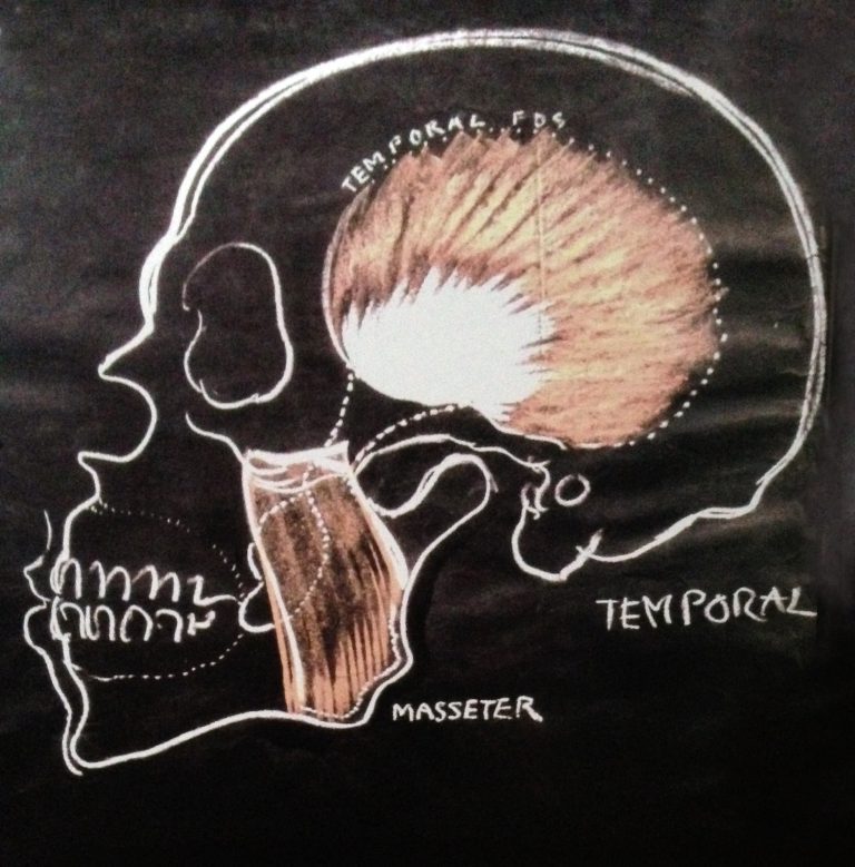 William Orpen – Teaching the Body – Anatomical Drawings. – Sir William ...